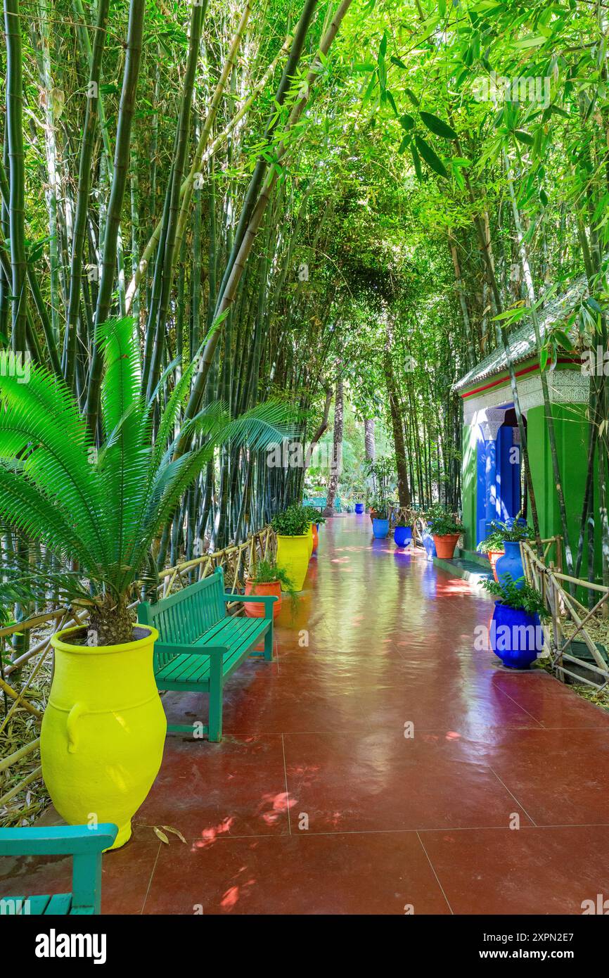 Alignment of multi-colored pots in the paths of the Majorelle garden in ...