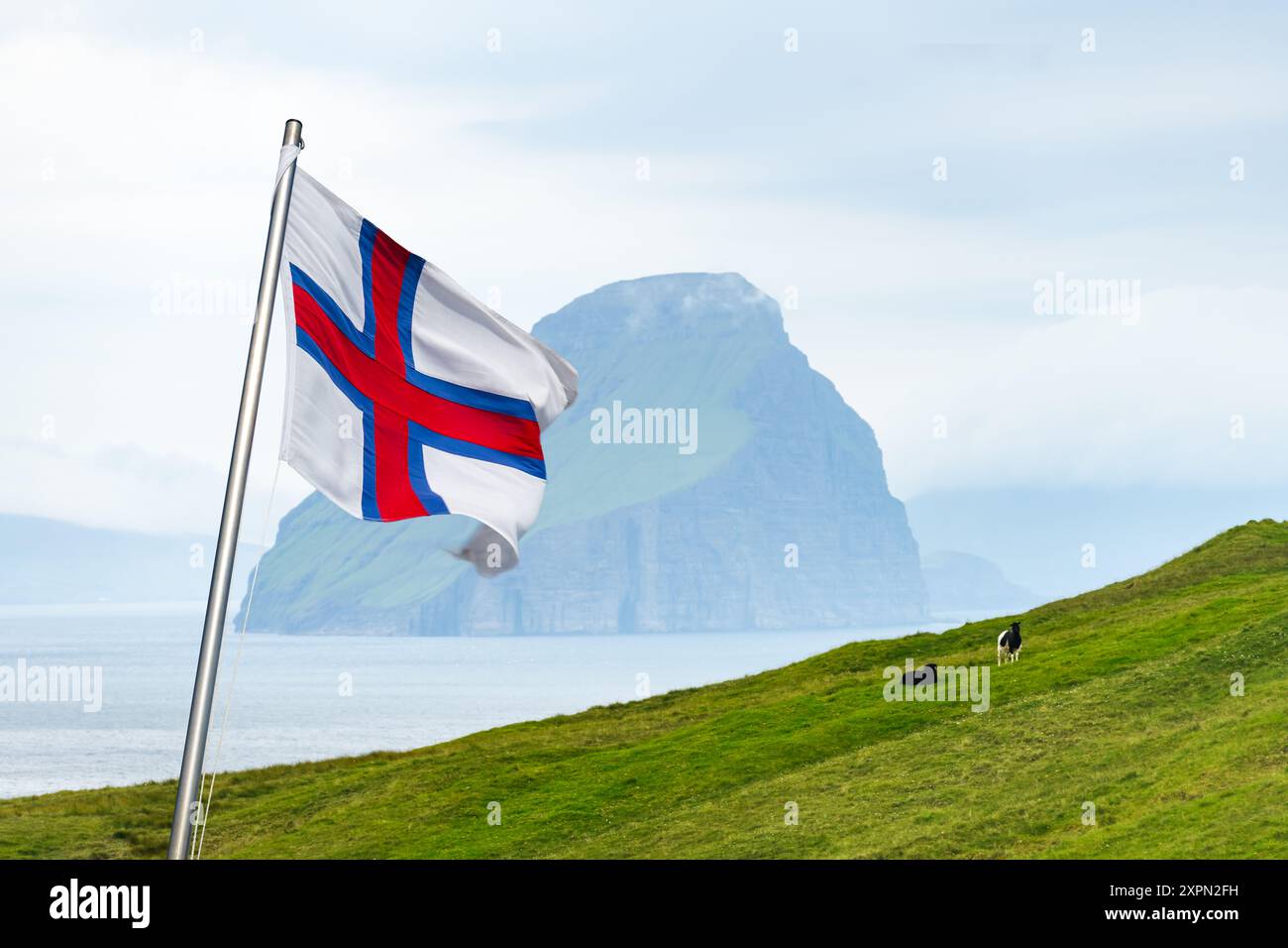 National Faroese flag waving against a background of green hills with sheeps and Koltur island ...