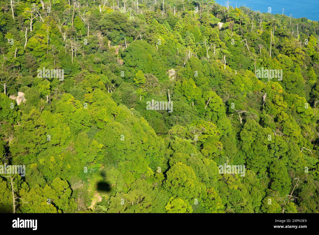 Japan miyajima island cable hi-res stock photography and images - Alamy