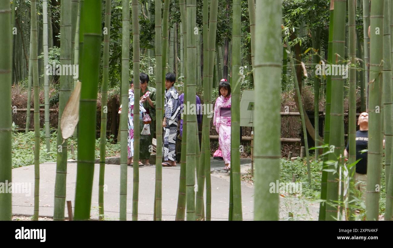 The Arashiyama Bamboo Grove: one of Kyoto's top sights (Japan Stock ...