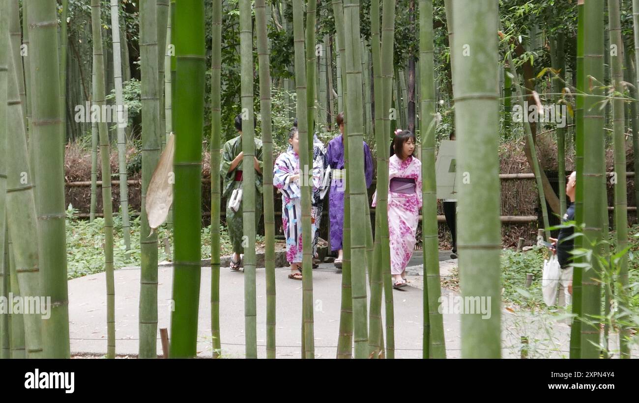 The Arashiyama Bamboo Grove: one of Kyoto's top sights (Japan Stock ...