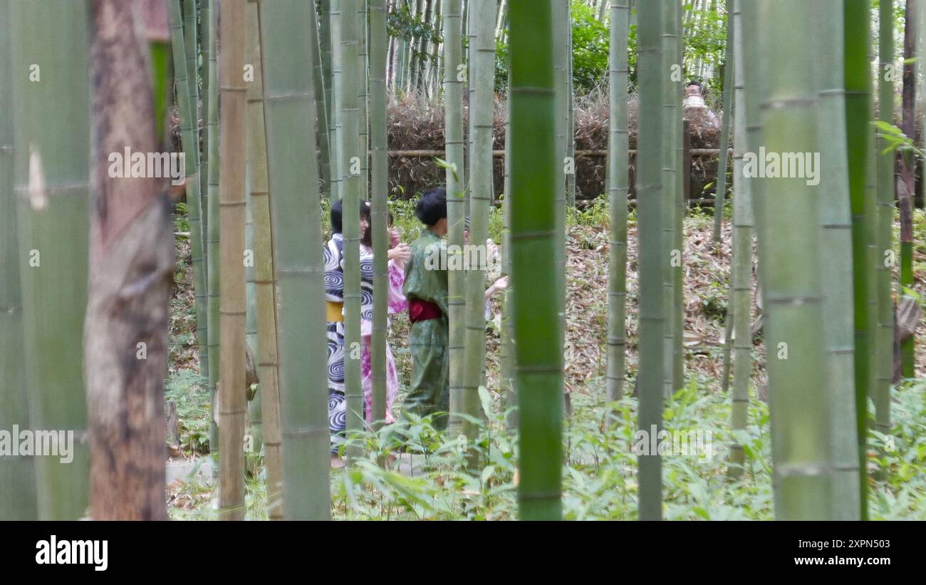 The Arashiyama Bamboo Grove: one of Kyoto's top sights (Japan Stock ...