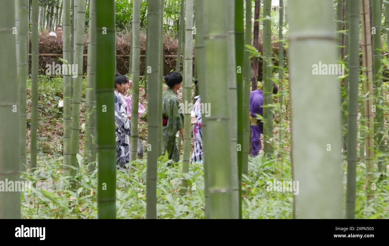 The Arashiyama Bamboo Grove: one of Kyoto's top sights (Japan Stock ...