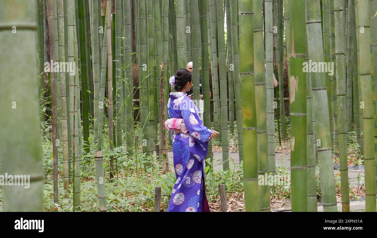 The Arashiyama Bamboo Grove: one of Kyoto's top sights (Japan Stock ...