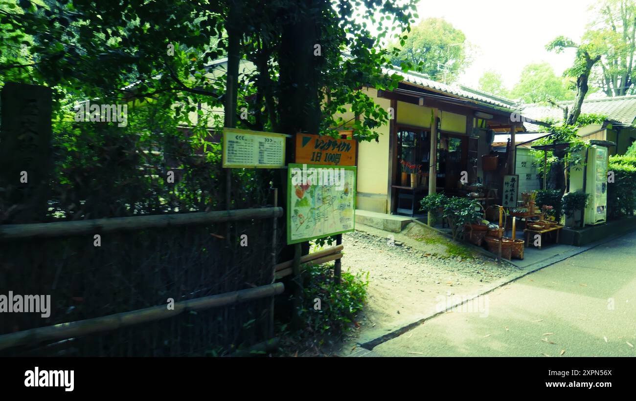 The Arashiyama Bamboo Grove: one of Kyoto's top sights (Japan Stock ...