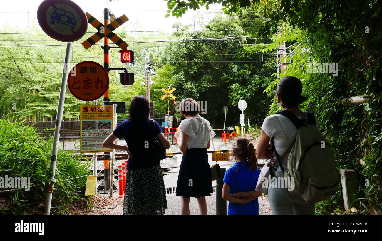 The Arashiyama Bamboo Grove: one of Kyoto's top sights (Japan Stock ...