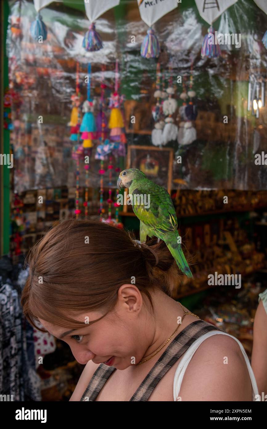 Talad Rom Hub, also known as the Maeklong Railway Market Stock Photo ...