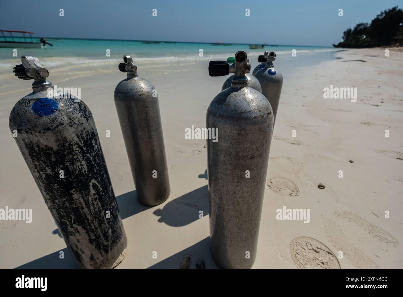 Oxygen transport hi-res stock photography and images - Alamy