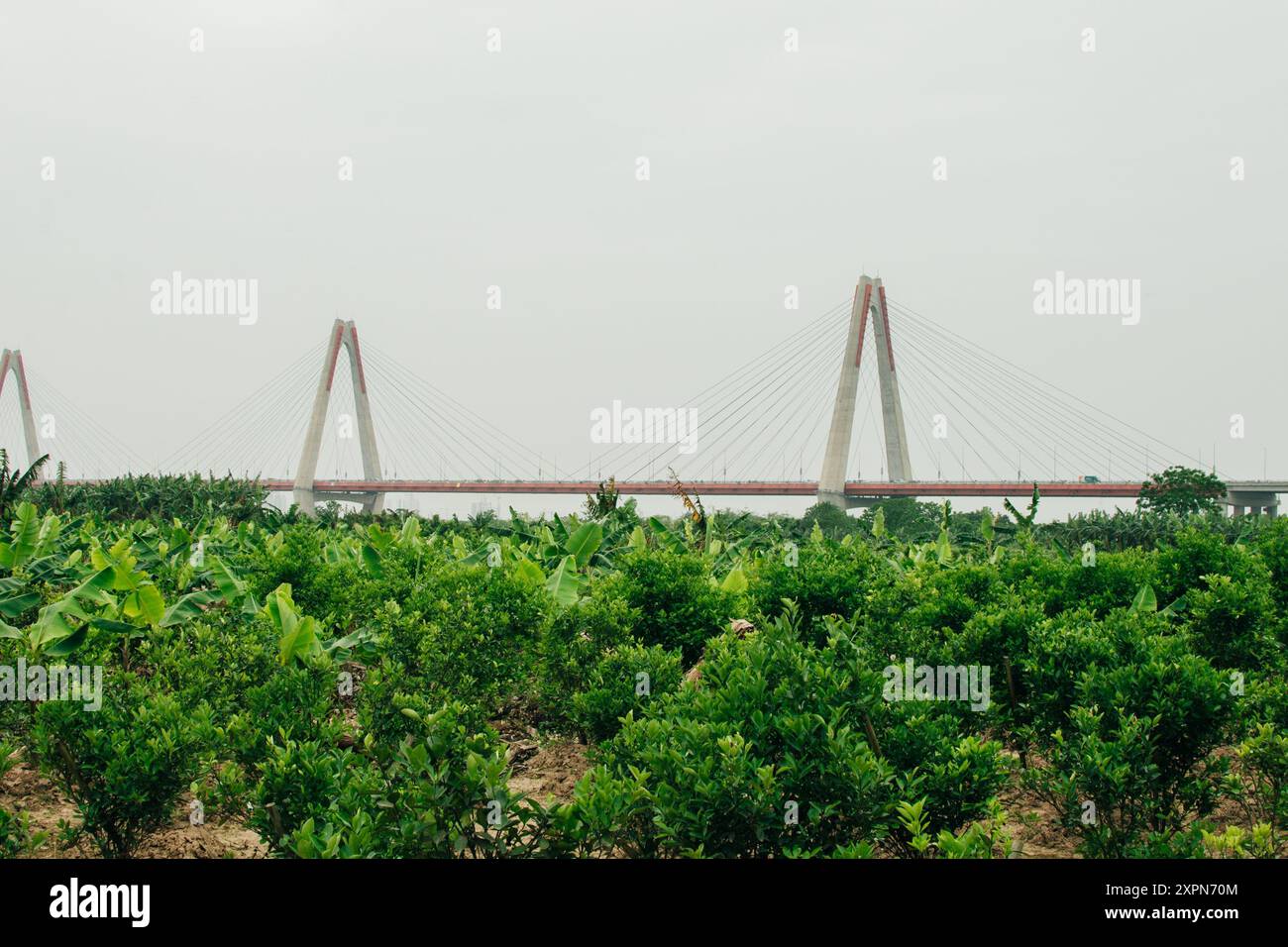 The Nhat Tan Bridge Japan Friendship Bridge is a cable-stayed bridge ...