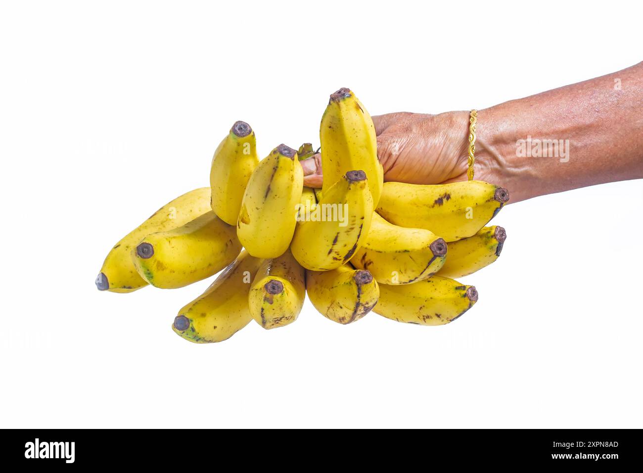 Bunch of bananas in hand of indian woman on white background Stock ...