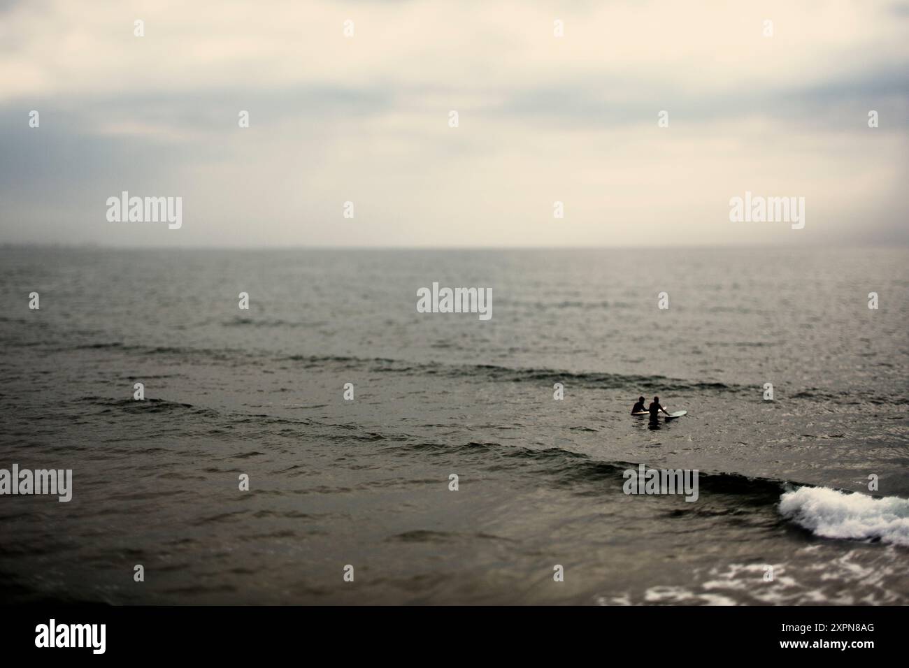 Surfersdream hi-res stock photography and images - Alamy