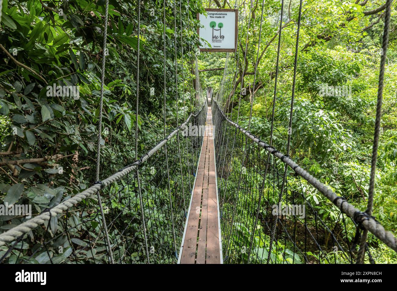 Manyara Treetop Walk, Manyara National Park, Tanzania Stock Photo - Alamy