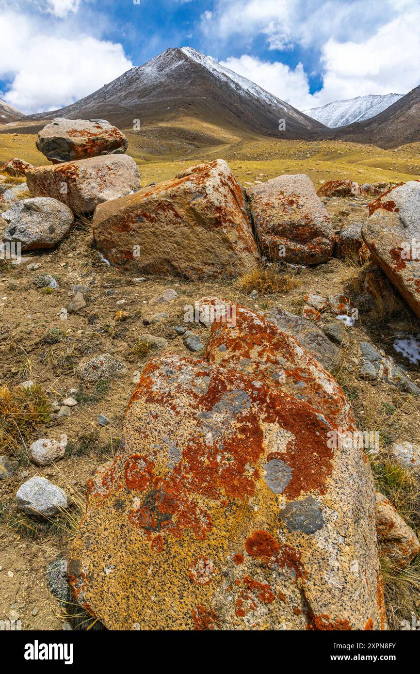 Fossil formed on rocks at a high-altitude mountain pass called Warila ...