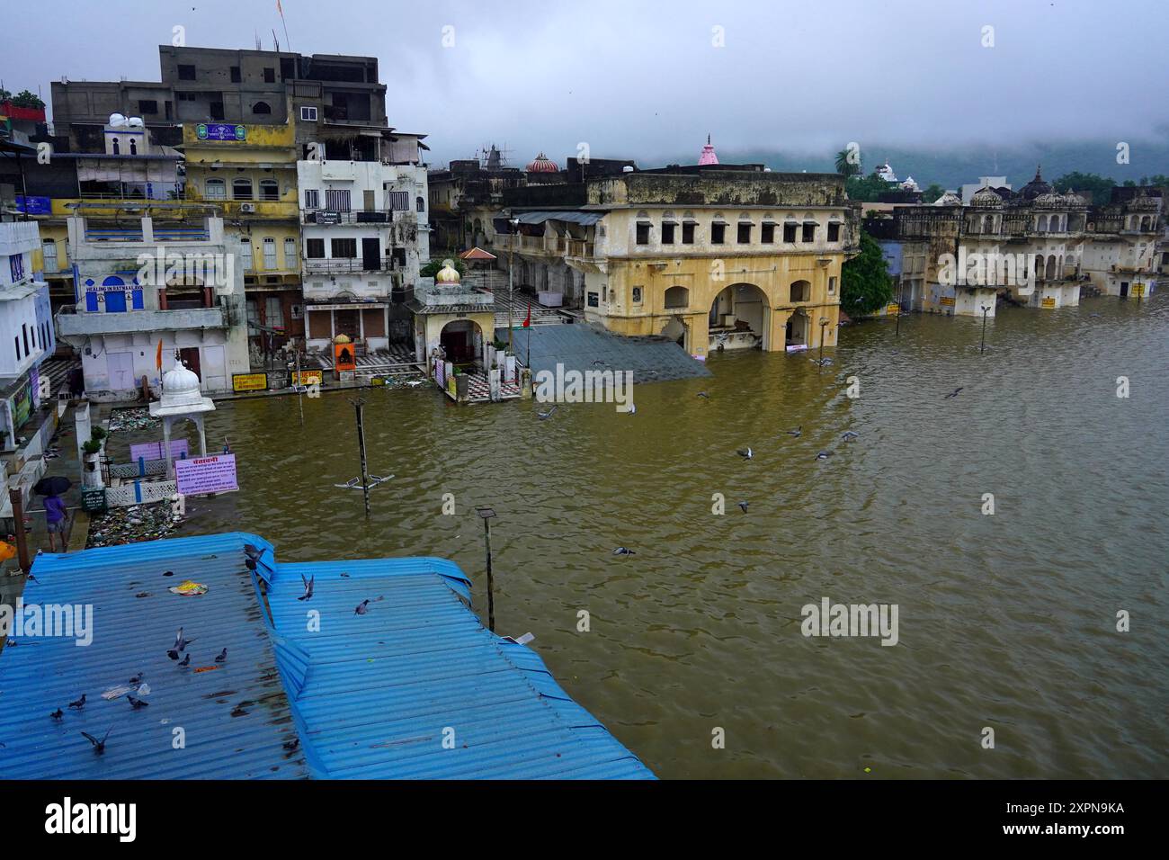 Pushkar lake and pollution hi-res stock photography and images - Alamy