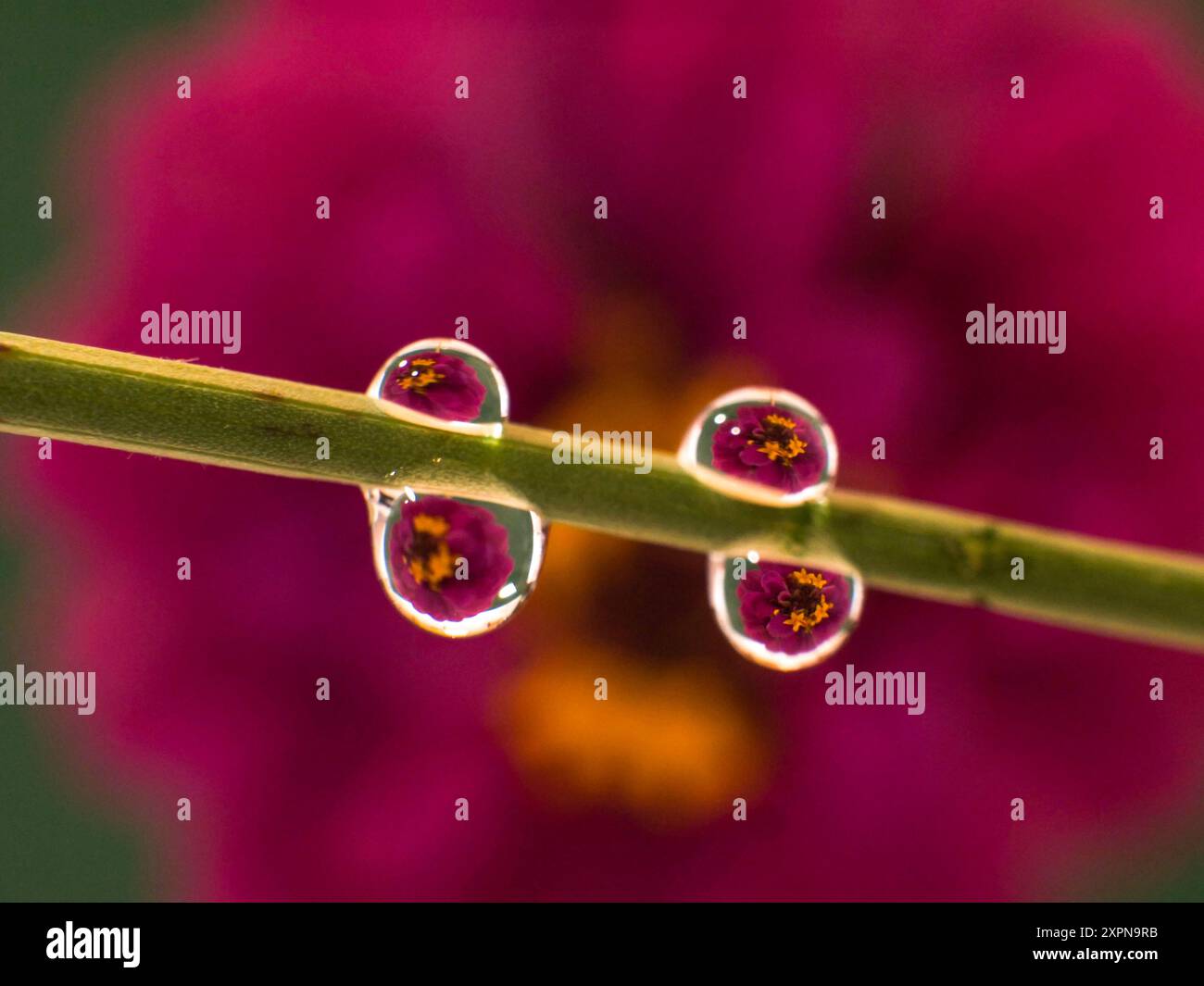 Refractive water hi-res stock photography and images - Alamy