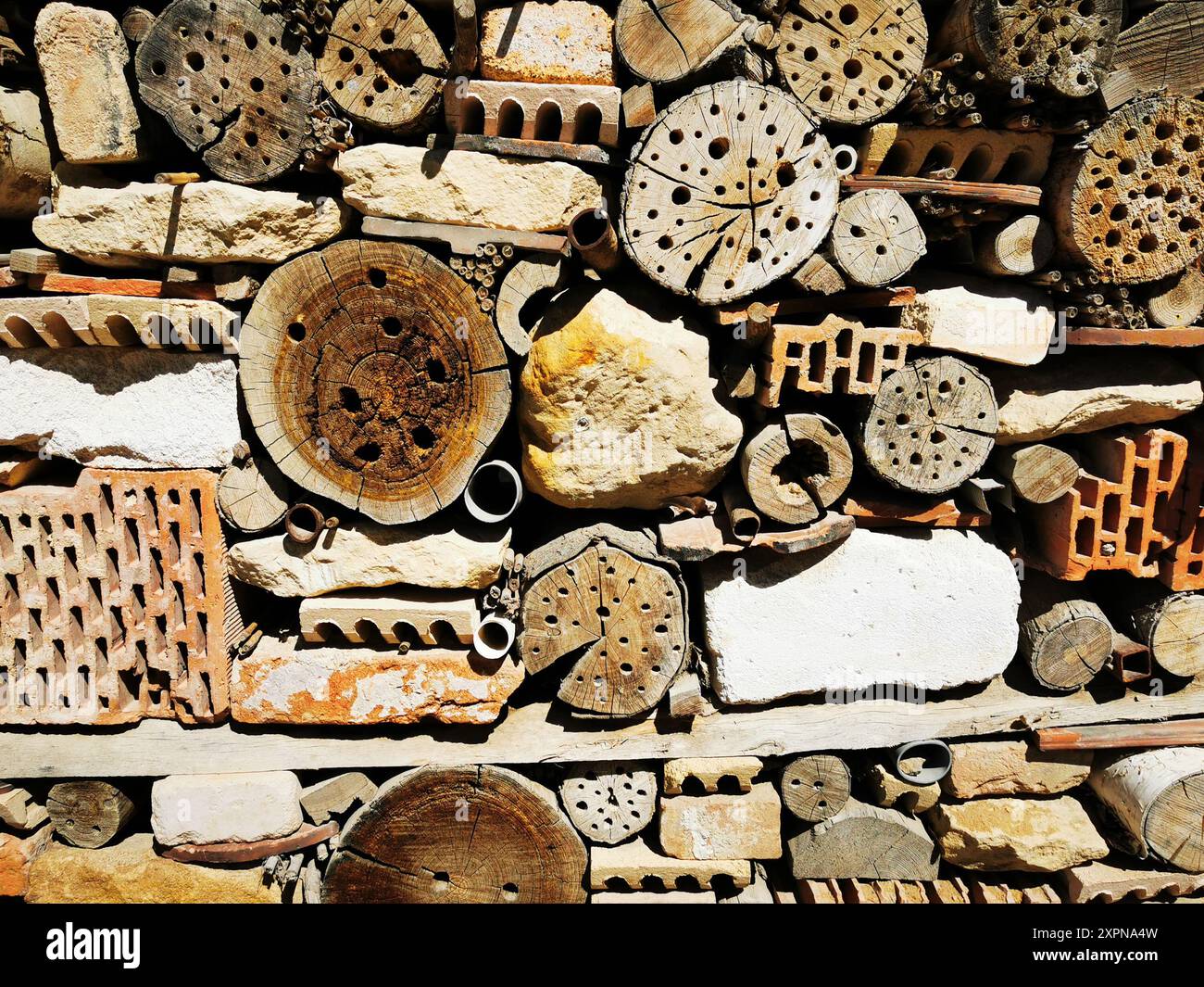 insect hotel texture as nice ecology background Stock Photo - Alamy