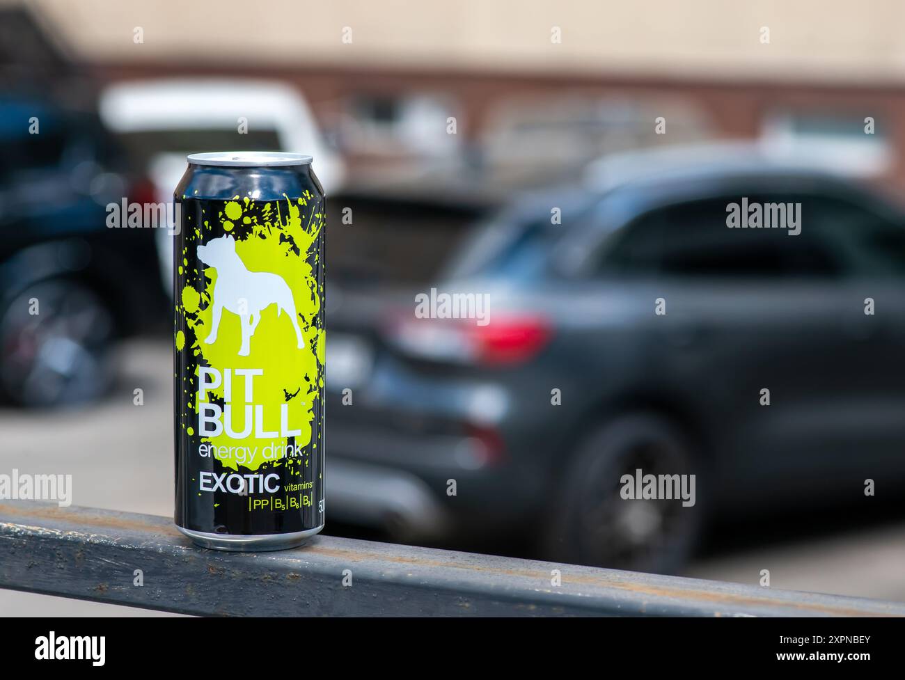 Kyiv, Ukraine - 07 August 2024: Can Pit Bull Exotic 0,5l energy drink ...