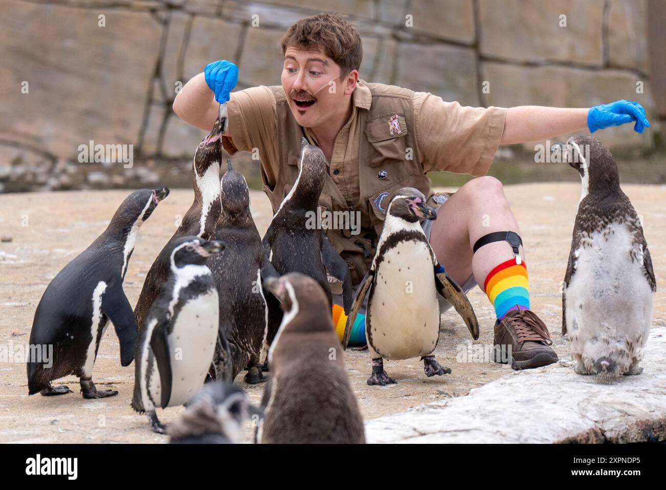Award-winning drag king Bi-Curious George meets the penguins in the ...