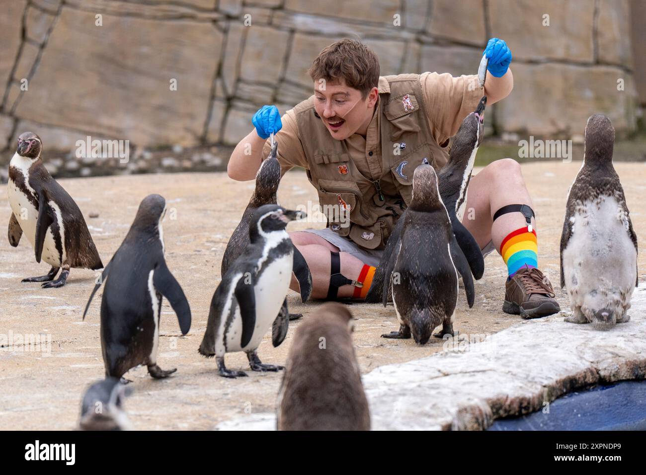 Award-winning drag king Bi-Curious George meets the penguins in the ...