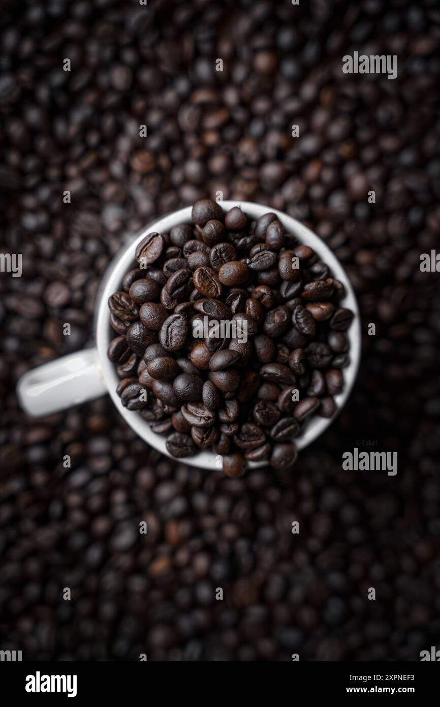 Tob design hi-res stock photography and images - Alamy