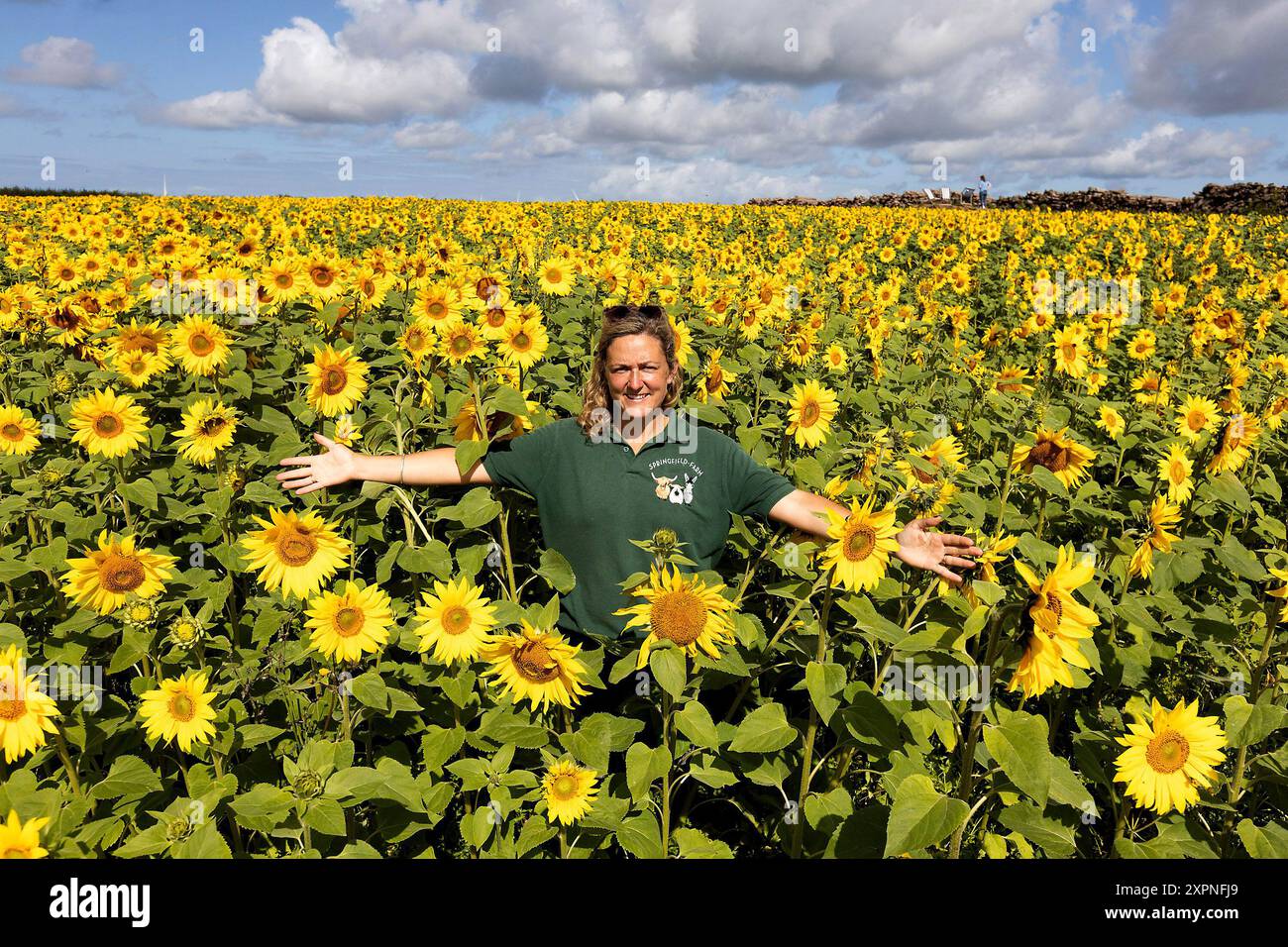 Marwood, Devon, UK. 06 AUG 2024. Summer is on its way with the amazing ...