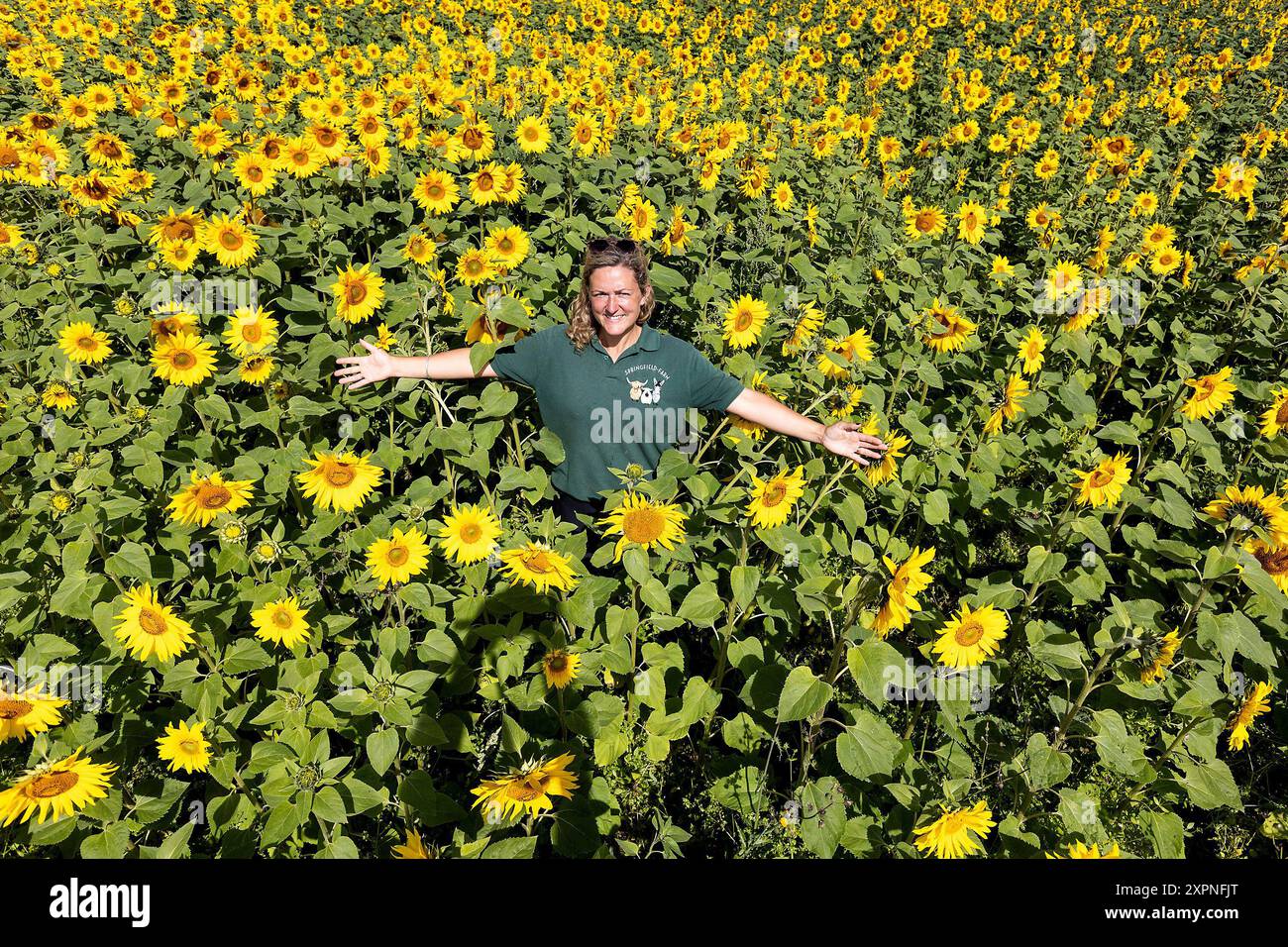 Marwood, Devon, UK. 06 AUG 2024. Summer is on its way with the amazing ...