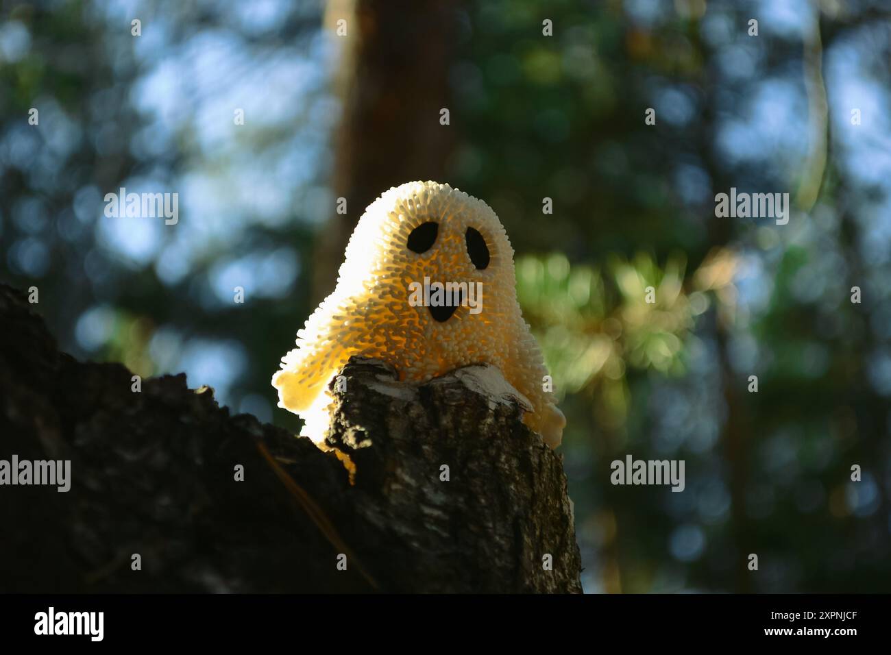 Peeking ghost hi-res stock photography and images - Alamy