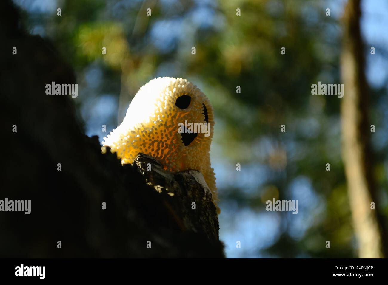 Peeking ghost hi-res stock photography and images - Alamy