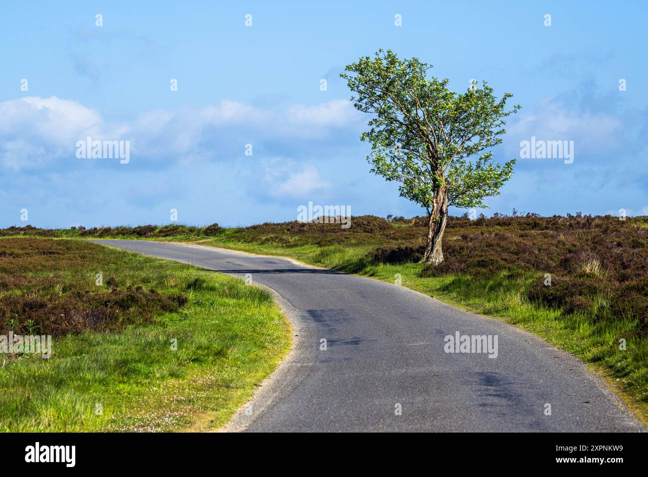 Farms in North York Moors National Park, Yorkshire, England Stock Photo ...