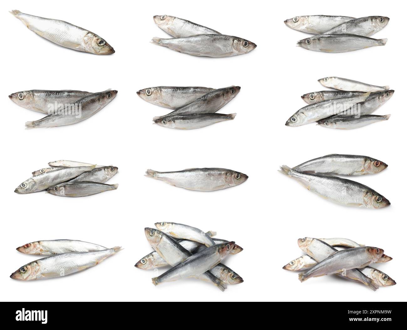 Fresh raw sprats isolated on white, set Stock Photo - Alamy