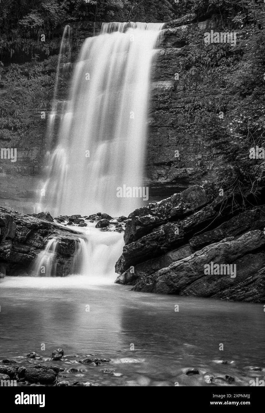 Waterfall in the forest, Barinas State, Venezuela Stock Photo - Alamy