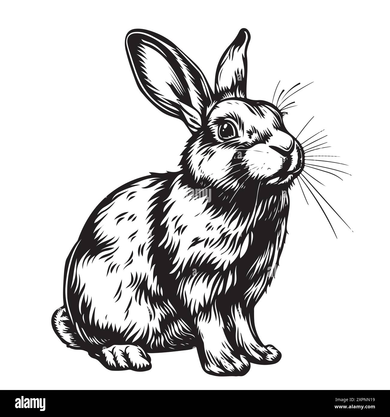 Bunny outline. Rabbit linear painting. Monochrome rabbit silhouette ...
