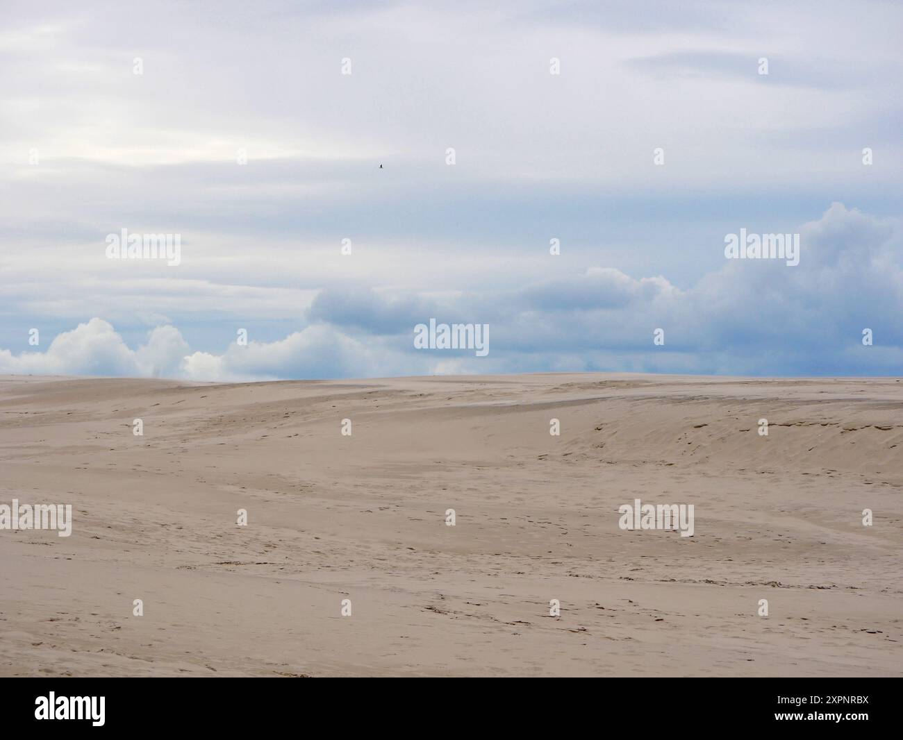 Rabjerg Mile - moving migrating coastal dune near Skagen, Denmark. Sand ...