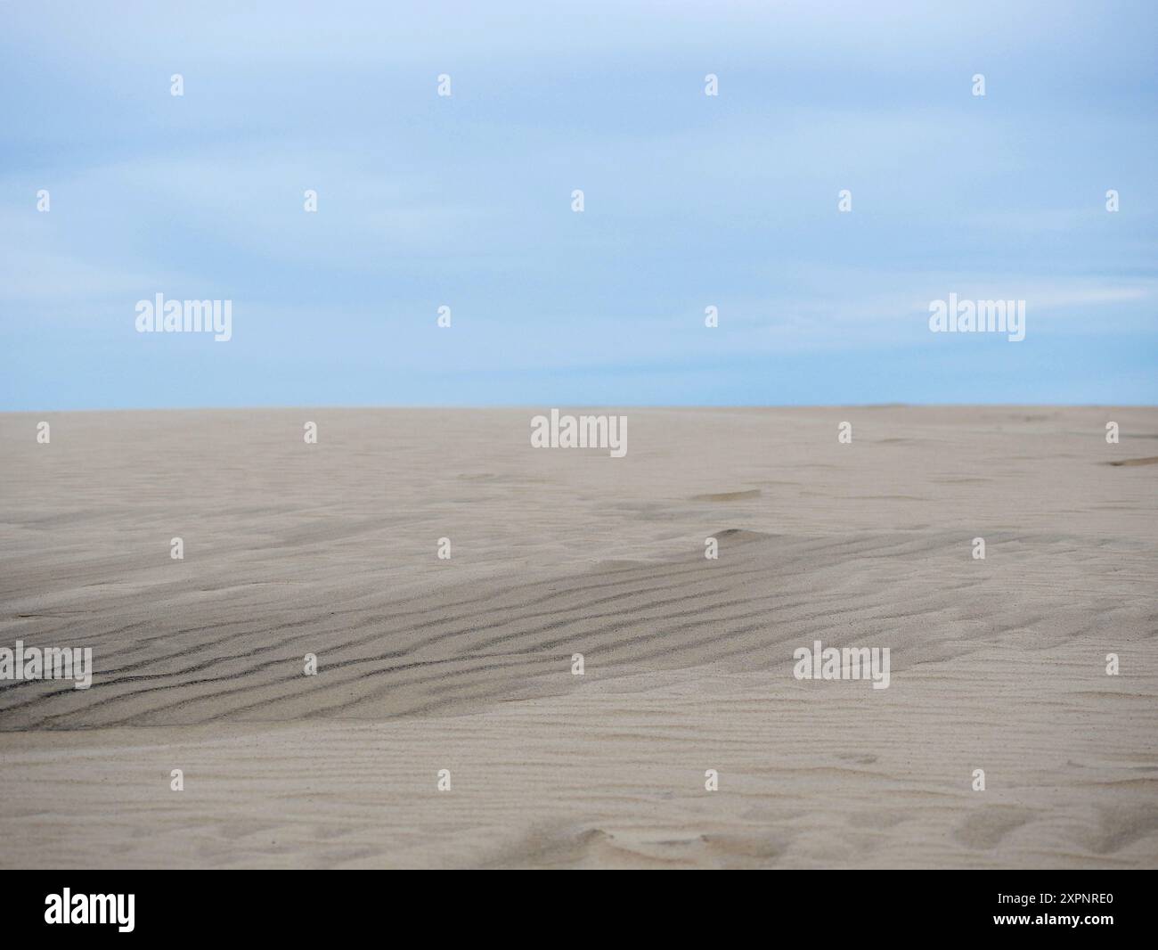 Rabjerg Mile - moving migrating coastal dune near Skagen, Denmark. Sand ...