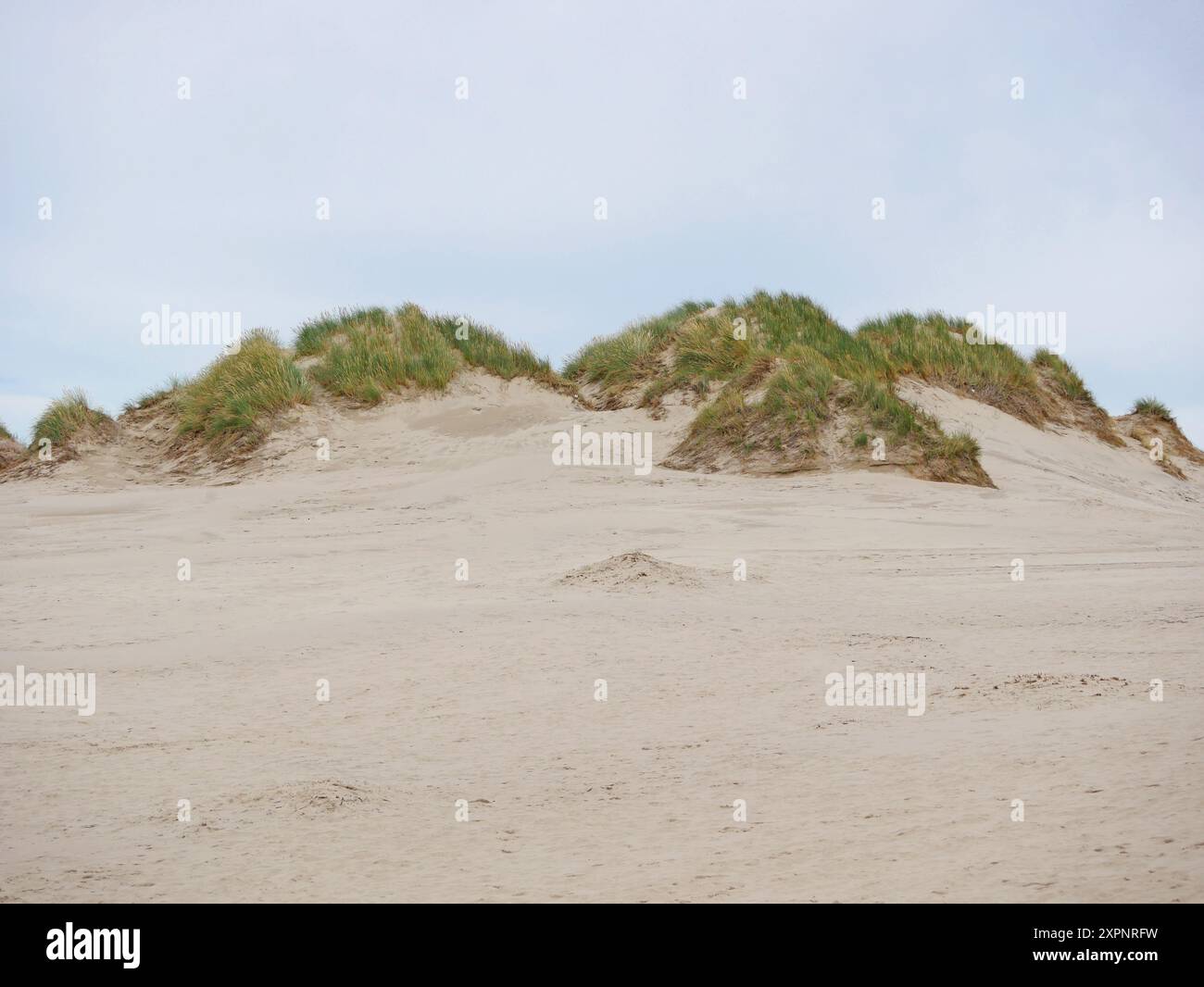 Rabjerg Mile - moving migrating coastal dune near Skagen, Denmark ...