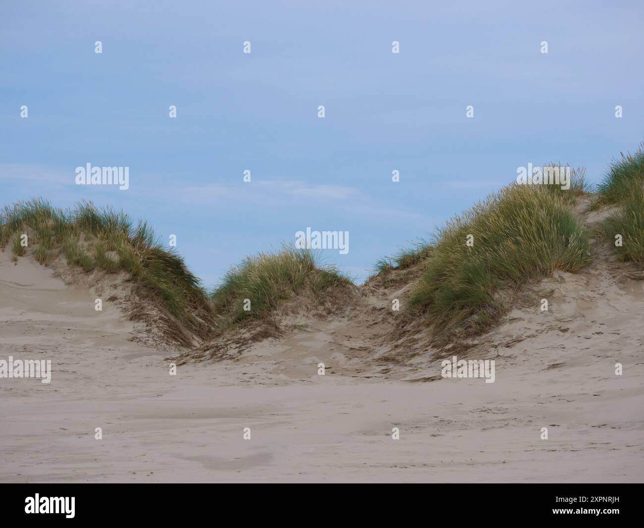 Rabjerg Mile - moving migrating coastal dune near Skagen, Denmark ...