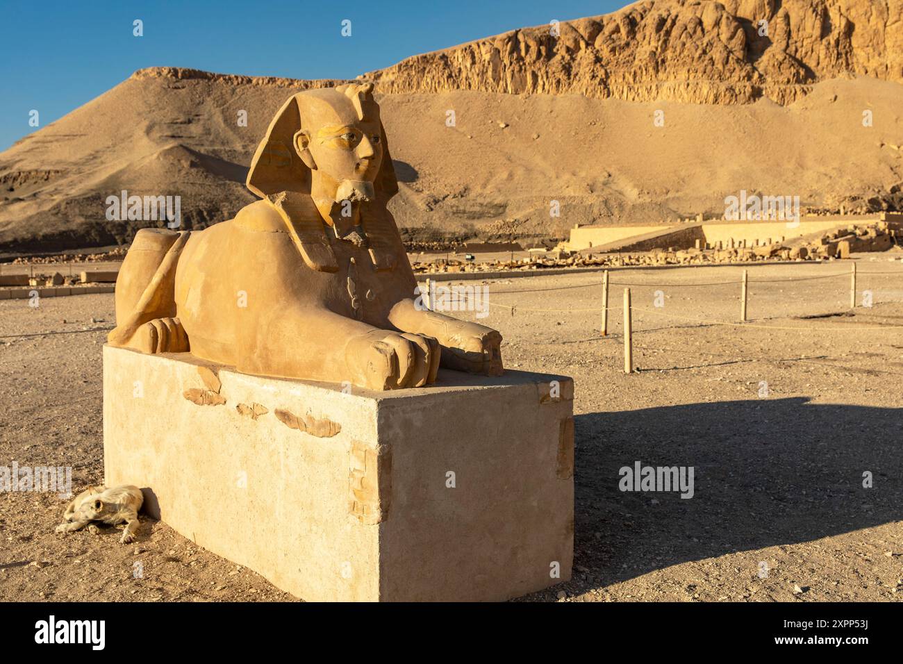 The Sphinx guarding the mortuary temple of Hatshepsut at Deir el-Bahari ...