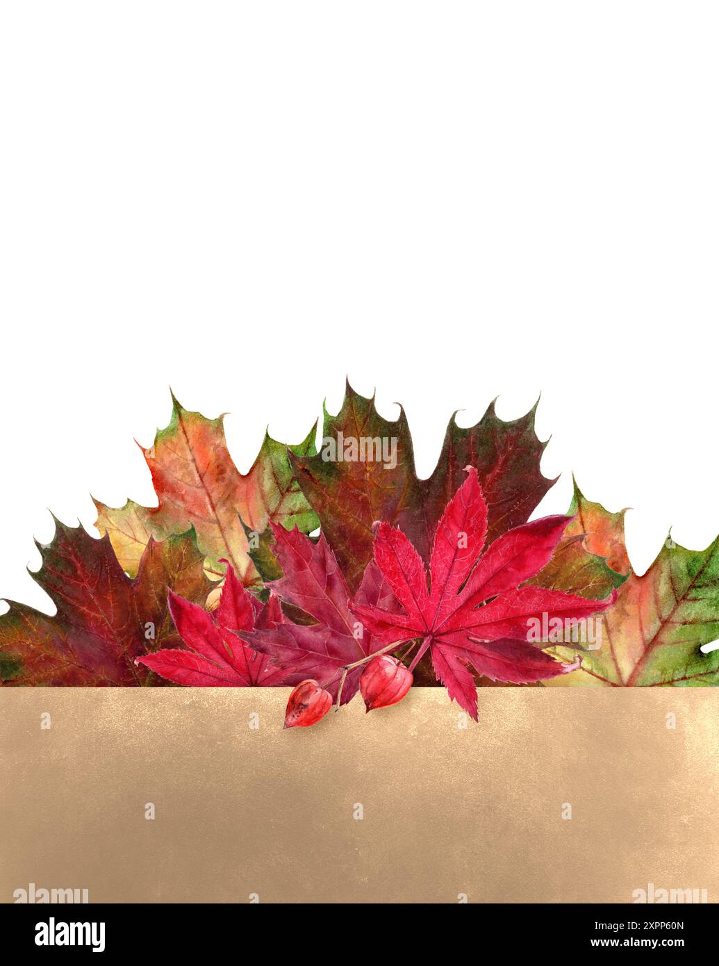 A Beautiful Autumn Leaves Border Design for Your Seasonal Home Decor ...