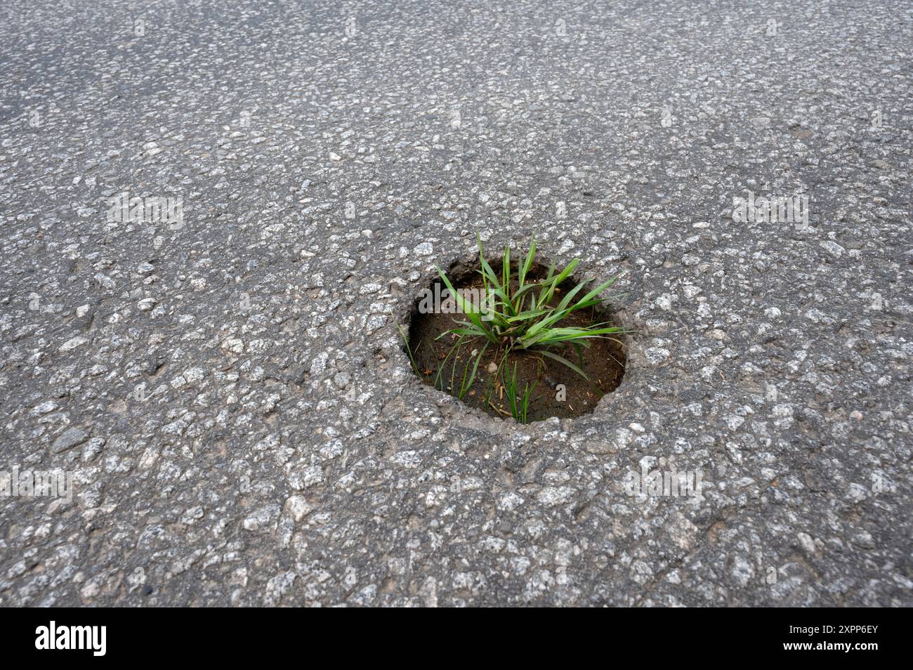 Hole text space in hi-res stock photography and images - Alamy