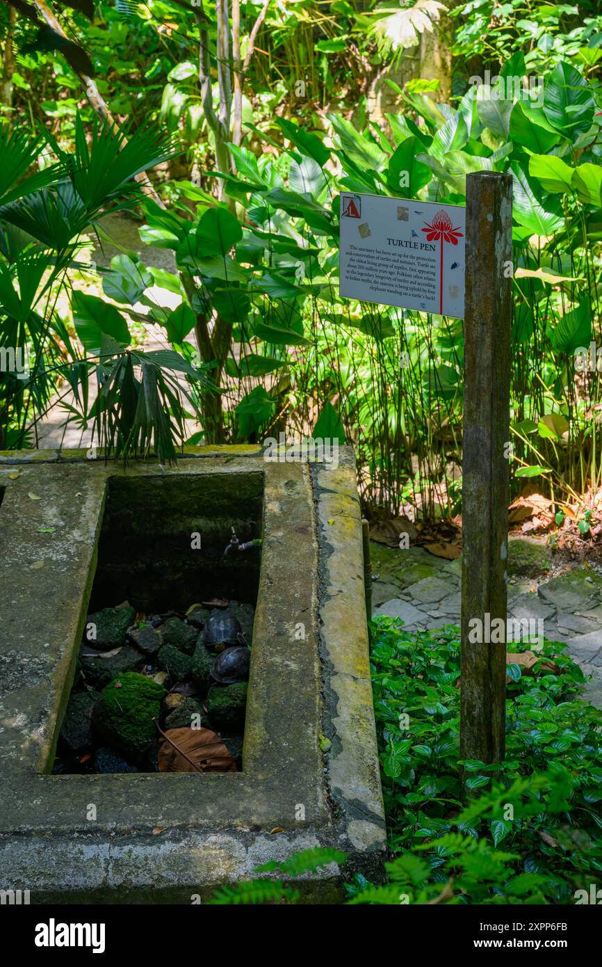 A Turtle Pen at the Tropical Spice Garden, Penang, Malaysia Stock Photo ...