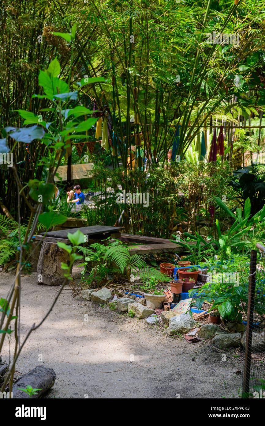 The Tropical Spice Garden, Penang, Malaysia Stock Photo - Alamy