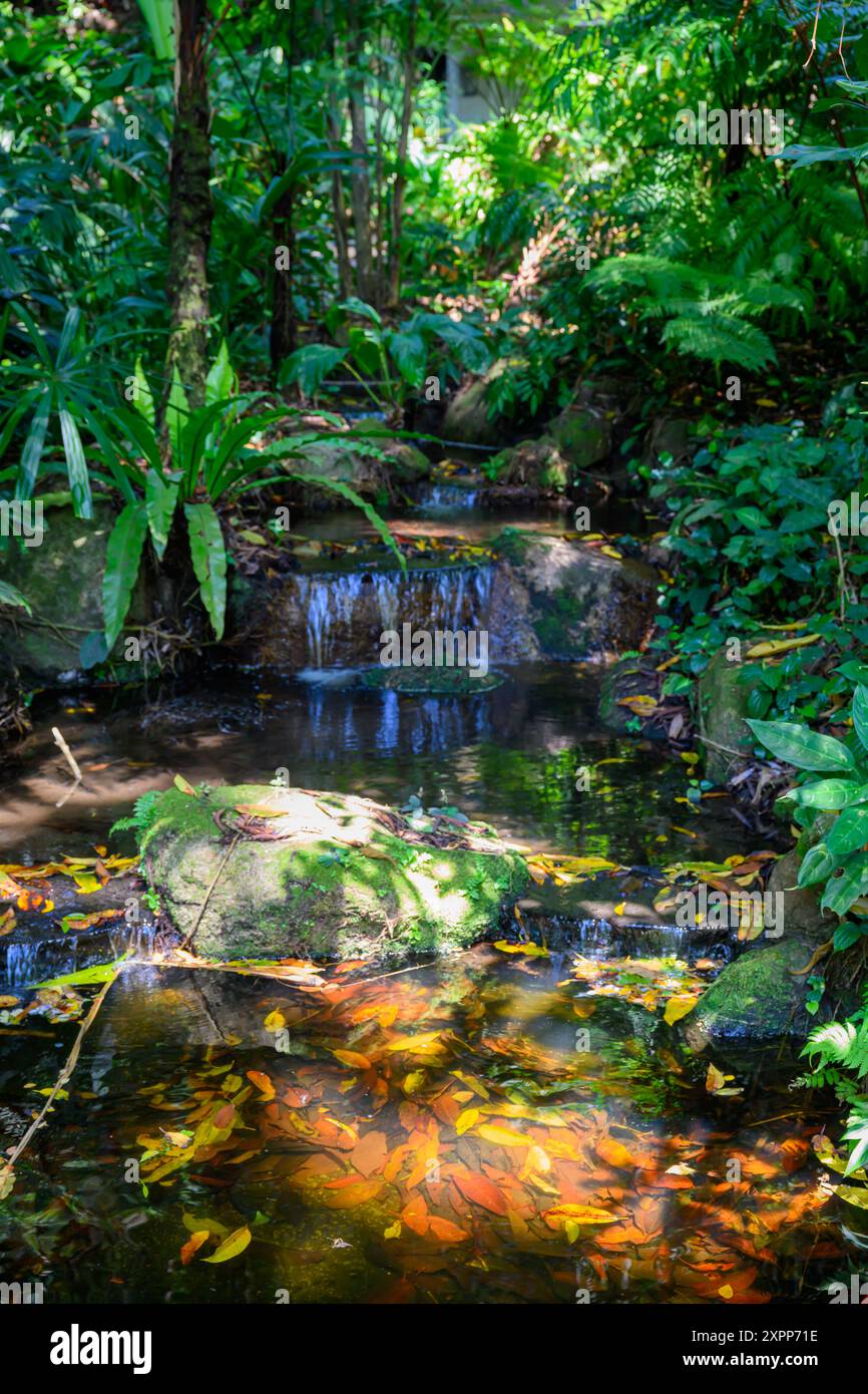 A small waterfall at the Tropical Spice Garden, Penang, Malaysia Stock ...