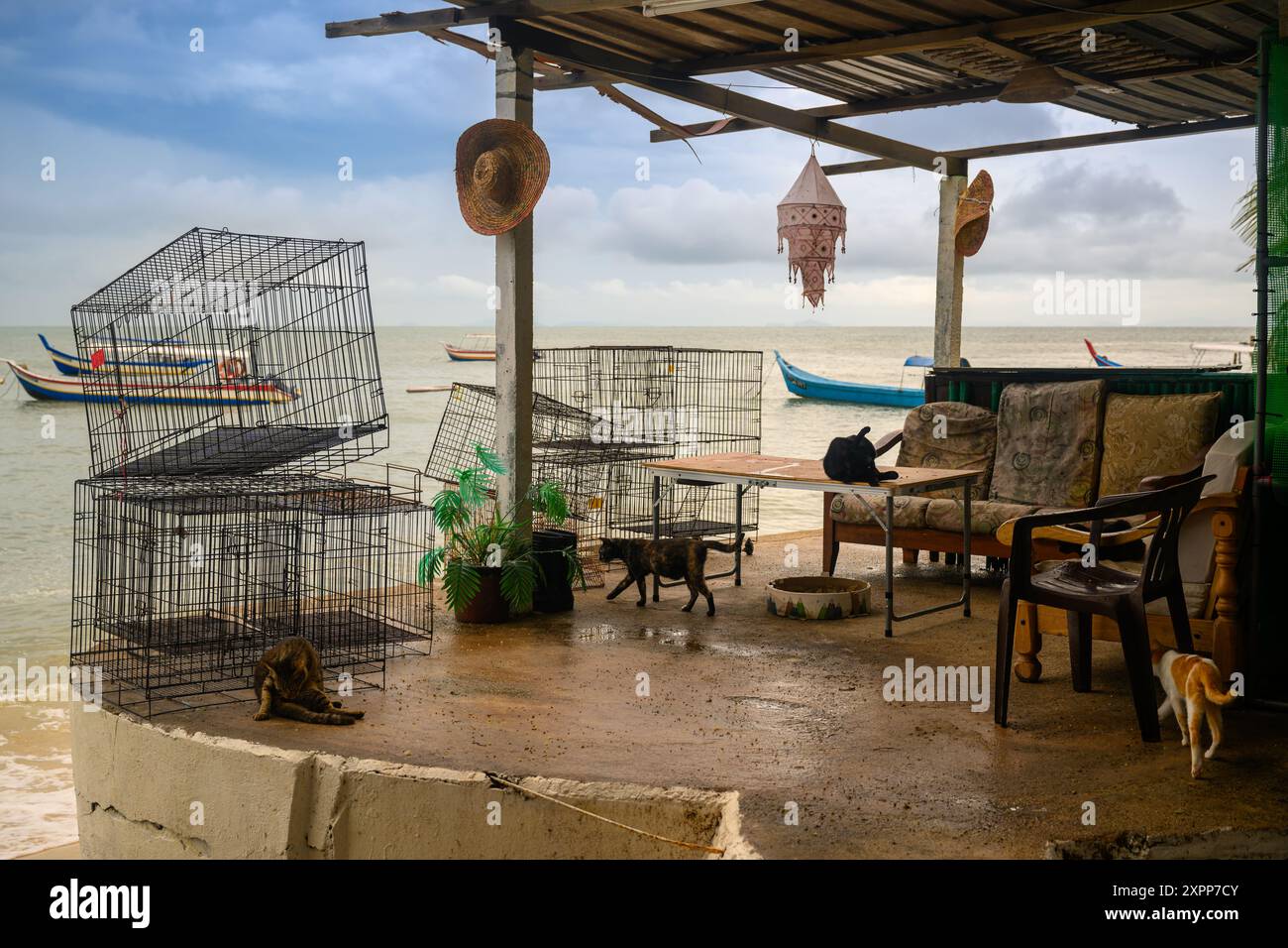 Cat Beach, Penang, Malaysia Stock Photo - Alamy