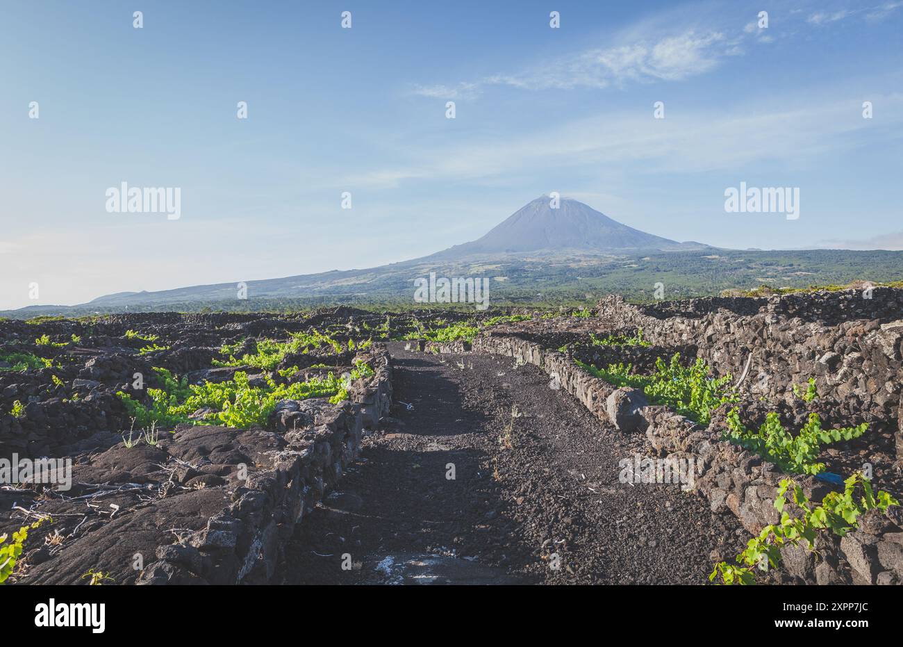 Mount Pico Volcano in the Azores, Portugal Stock Photo - Alamy