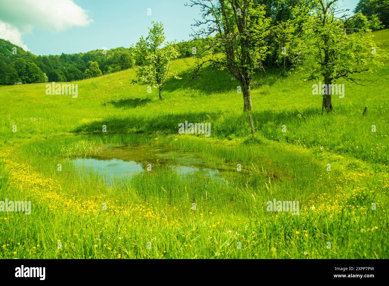 plateau of retord in ain in france Stock Photo - Alamy