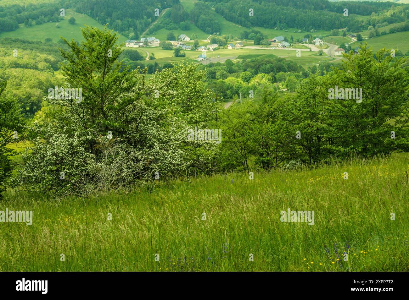 plateau of retord in ain in france Stock Photo - Alamy