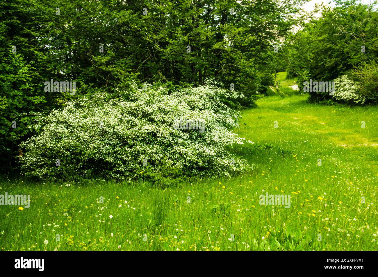 plateau of retord in ain in france Stock Photo - Alamy