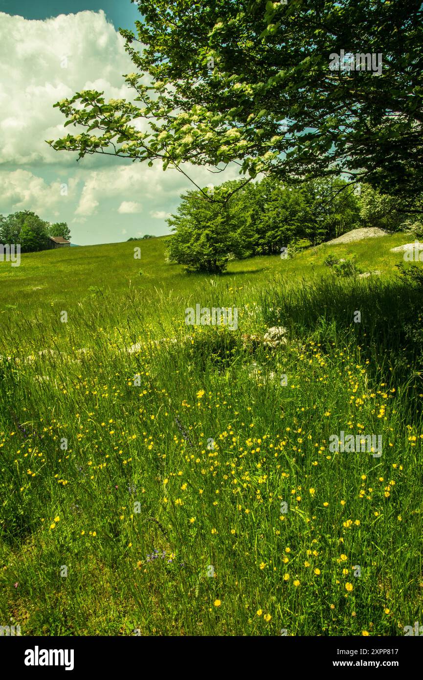 plateau of retord in ain in france Stock Photo - Alamy