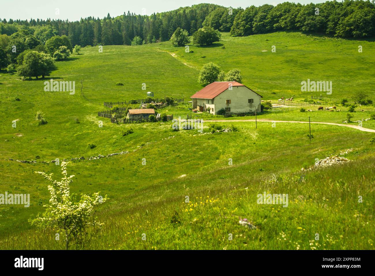 plateau of retord in ain in france Stock Photo - Alamy