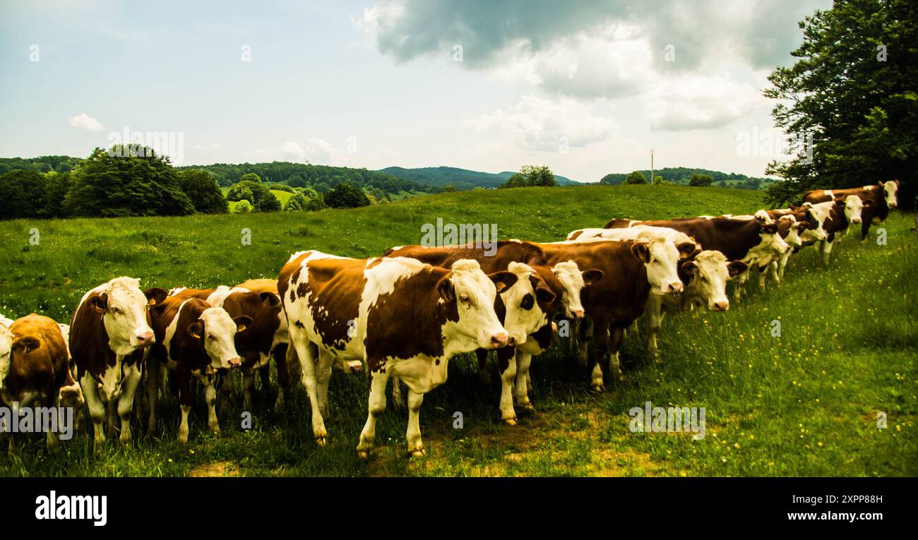 plateau of retord in ain in france Stock Photo - Alamy